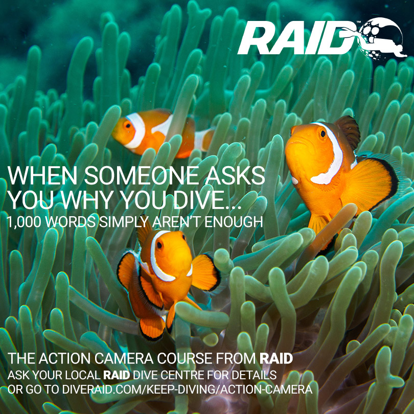 RAID Makes You Look Like a Pro – Raid International