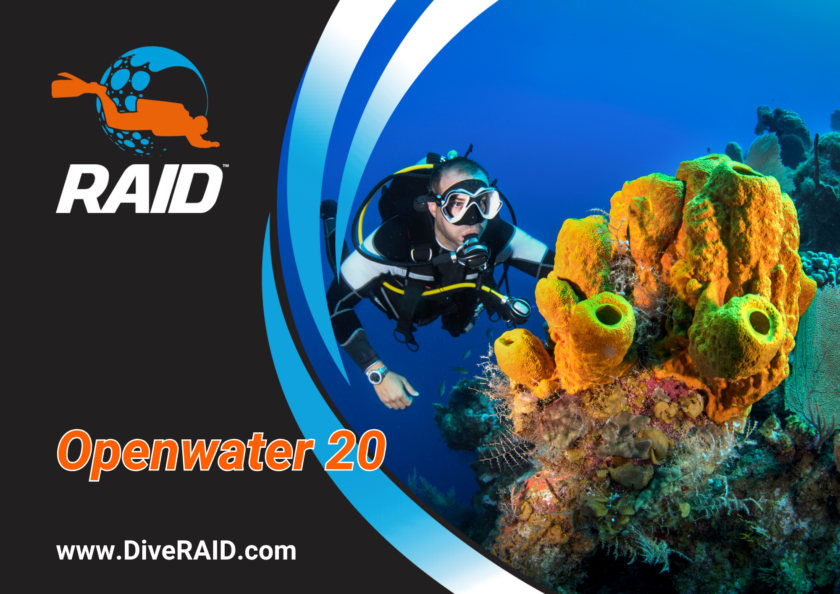 New Jetpack Site – Dive The Raid Way