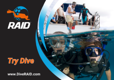 Start Diving – New Jetpack Site