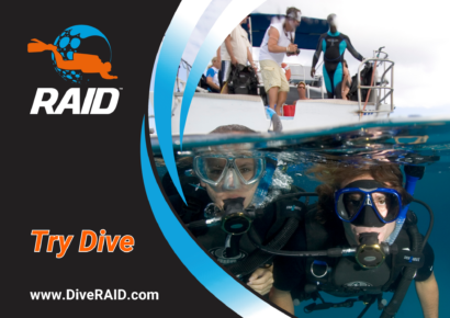 Start Diving – New Jetpack Site